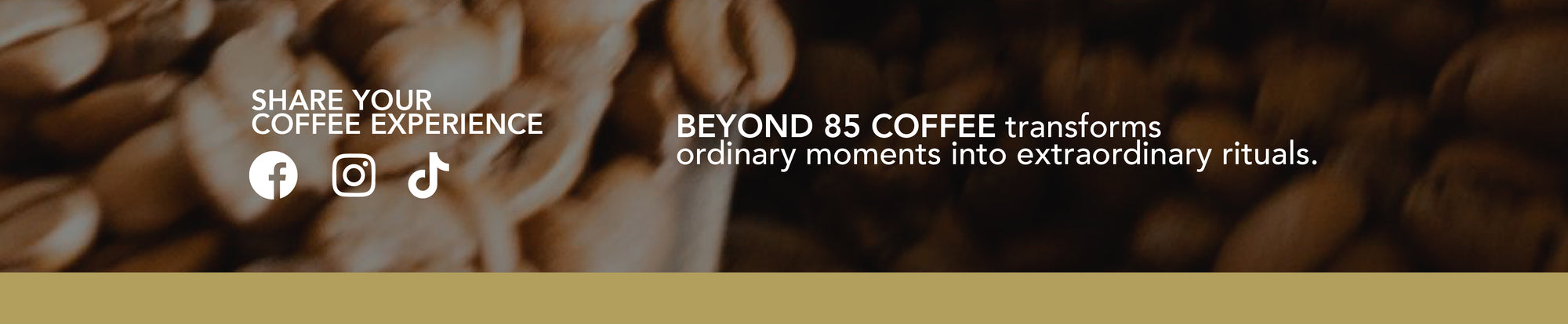 Beyond 85 Coffee: Premium Specialty Coffee in Florida – Gourmet Experi