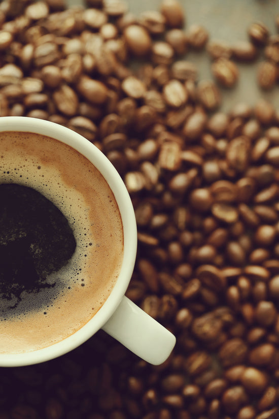 Beyond 85 Coffee: Premium Specialty Coffee in Florida – Gourmet Experi